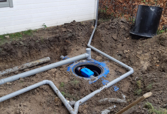 20210315_145811 (Groot)